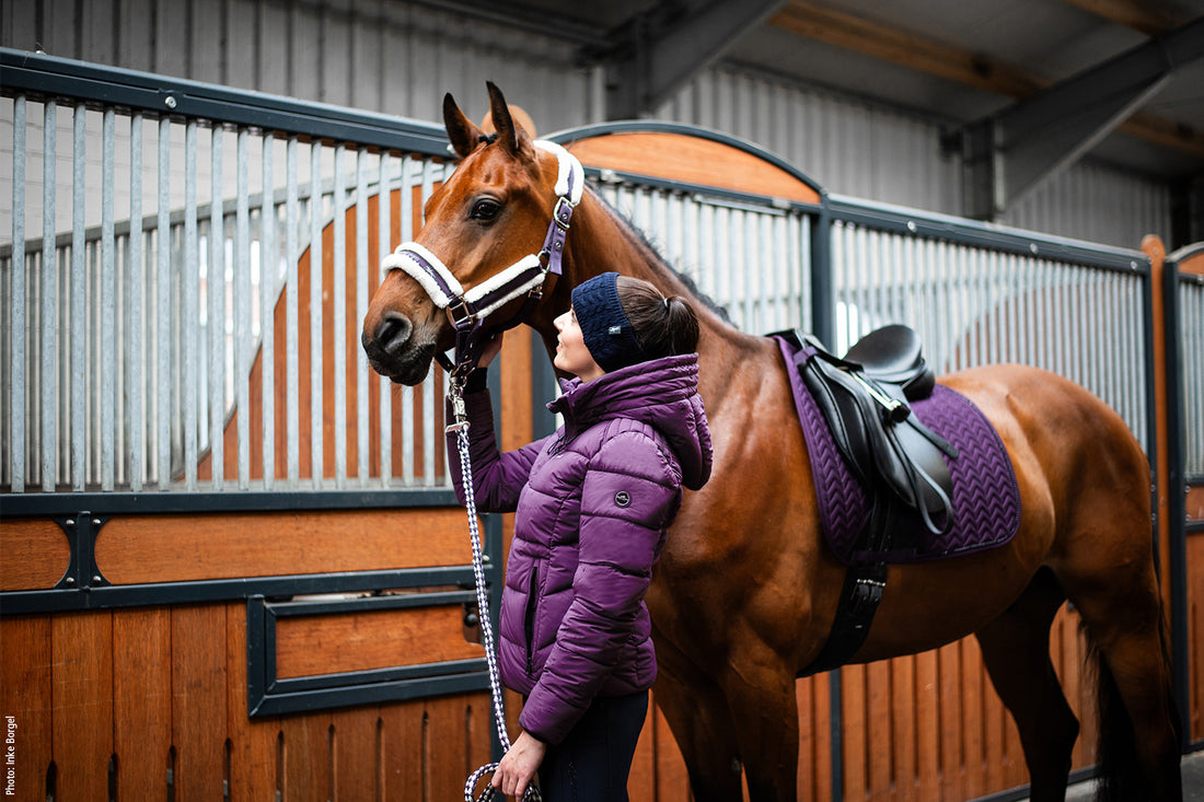 Crazy Carousel Tack Shop