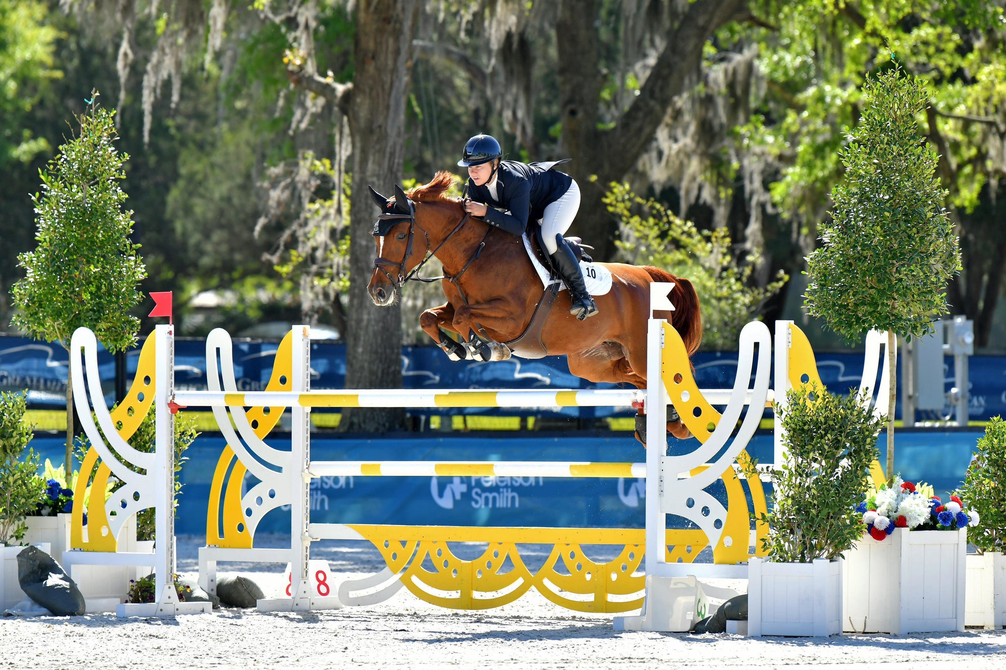 Crazy Carousel Tack Shop