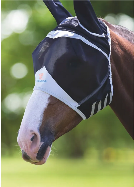 Crazy Carousel Tack Shop