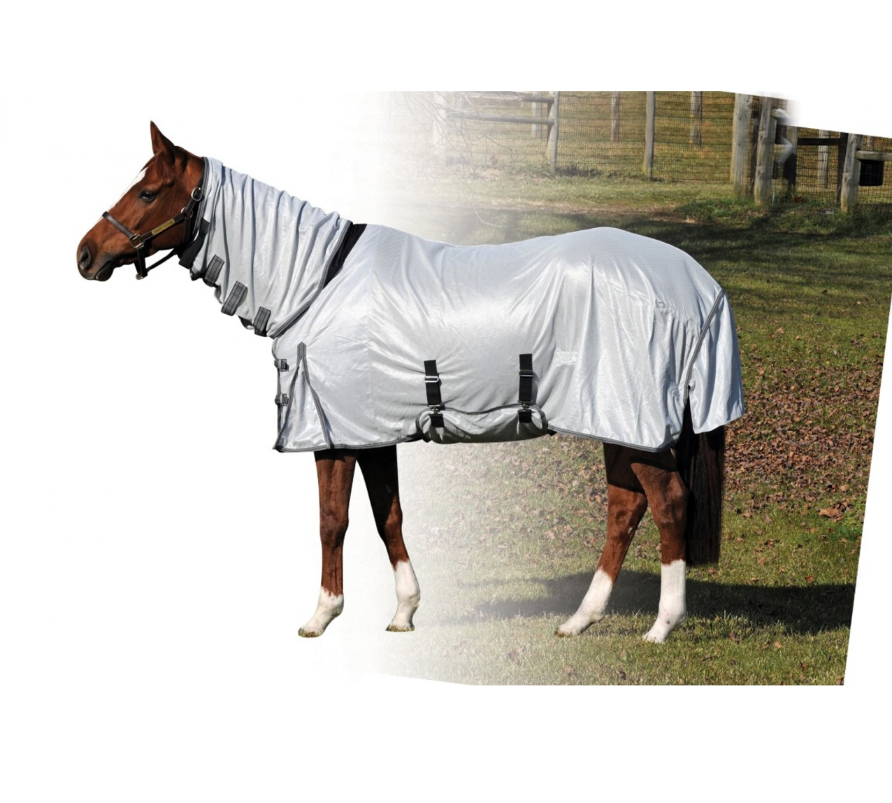 Crazy Carousel Tack Shop