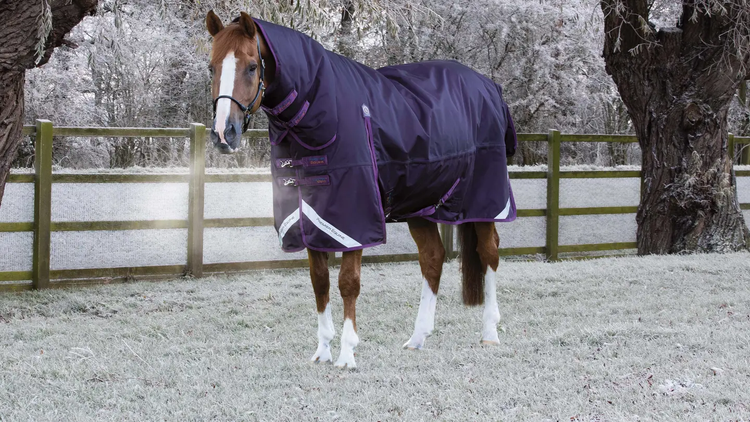 Crazy Carousel Tack Shop