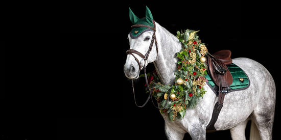 Crazy Carousel Tack Shop