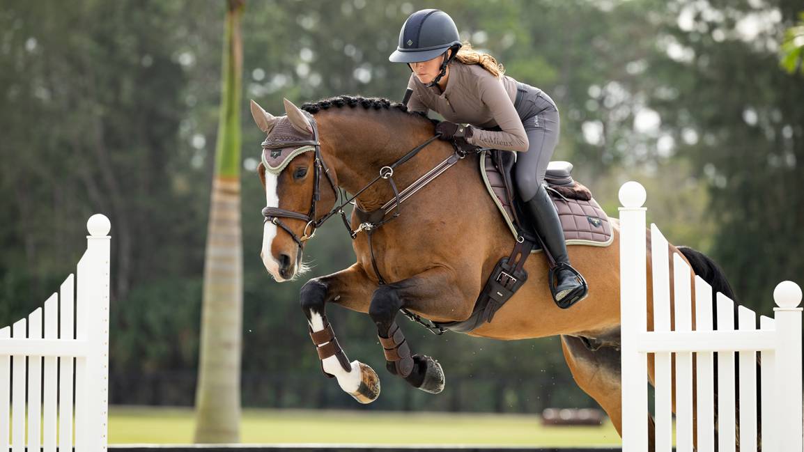 Crazy Carousel Tack Shop