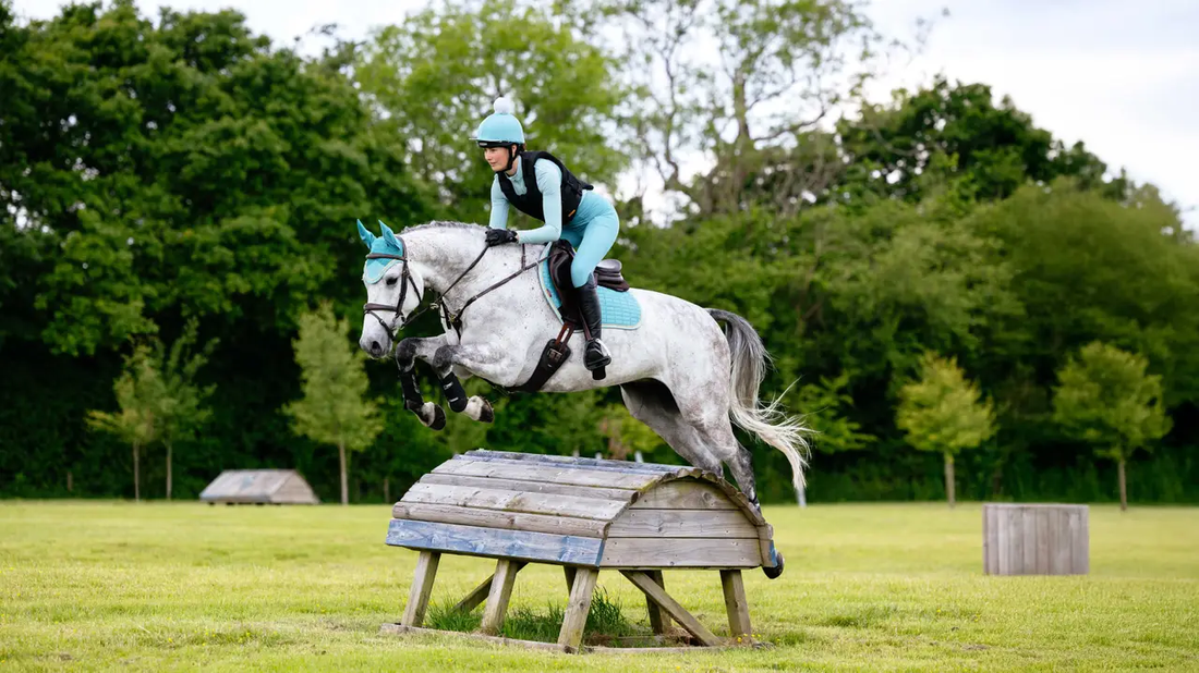 Crazy Carousel Tack Shop